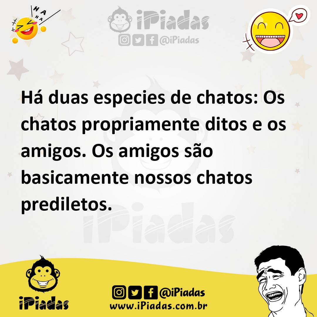Há duas especies de chatos: Os chatos propriamente ditos e os amigos ...