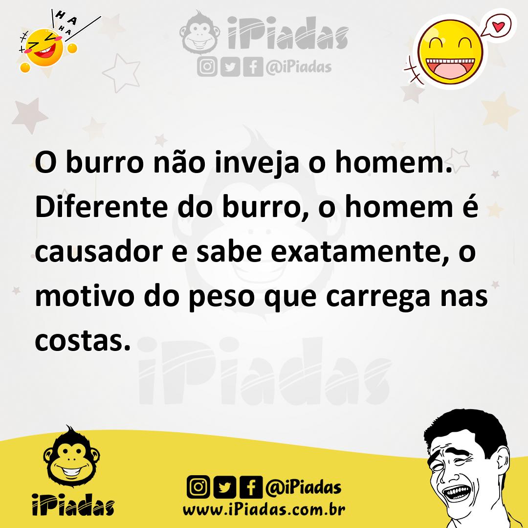 O Burro Não Inveja O Homem Diferente Do Burro O Homem é Causador E