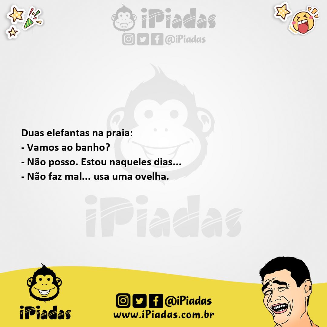 Elefantas Na Praia - Piadas Engraçadas