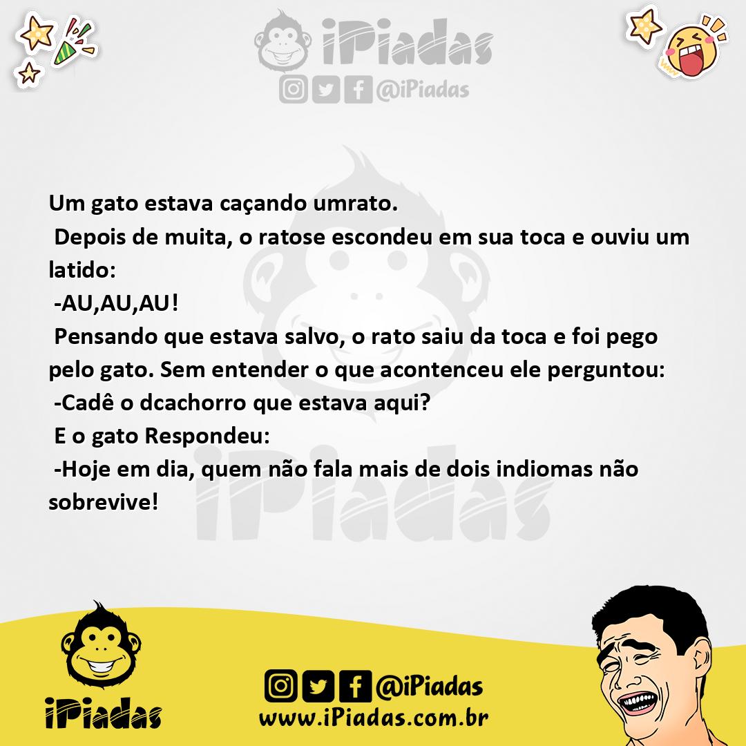 Gato e Rato - Piadas Engraçadas