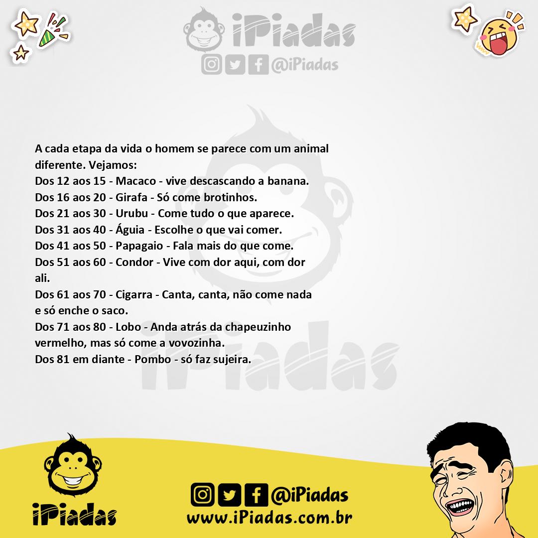 Idades do homem - Piadas Engraçadas